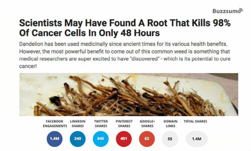 The Most Viral Content In 2016: 30 Examples | BuzzSumo.com