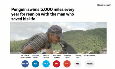 The Most Viral Content In 2016: 30 Examples | BuzzSumo.com