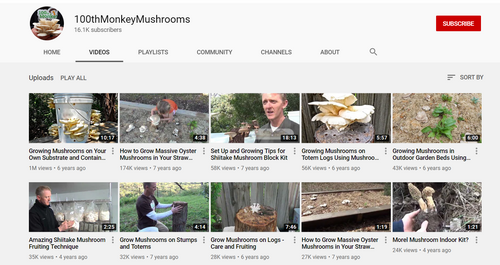 How to Do Effective YouTube Keyword Research the Easy Way | BuzzSumo.com